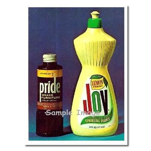 pride-and-joy-card-gagworks